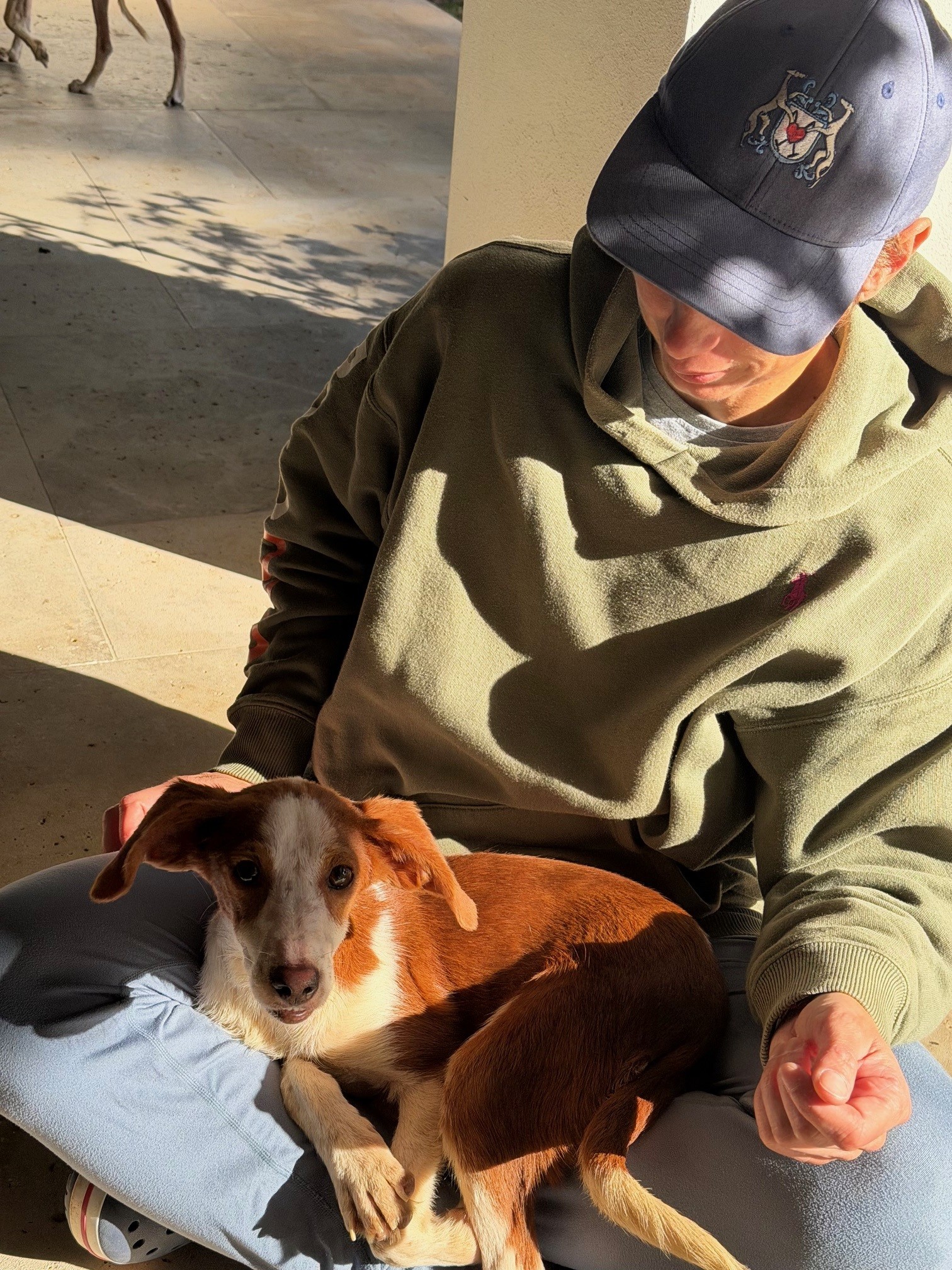 Podenco Mischling Daisy sucht ein Zuhause - SALVA Hundehilfe e.V.
